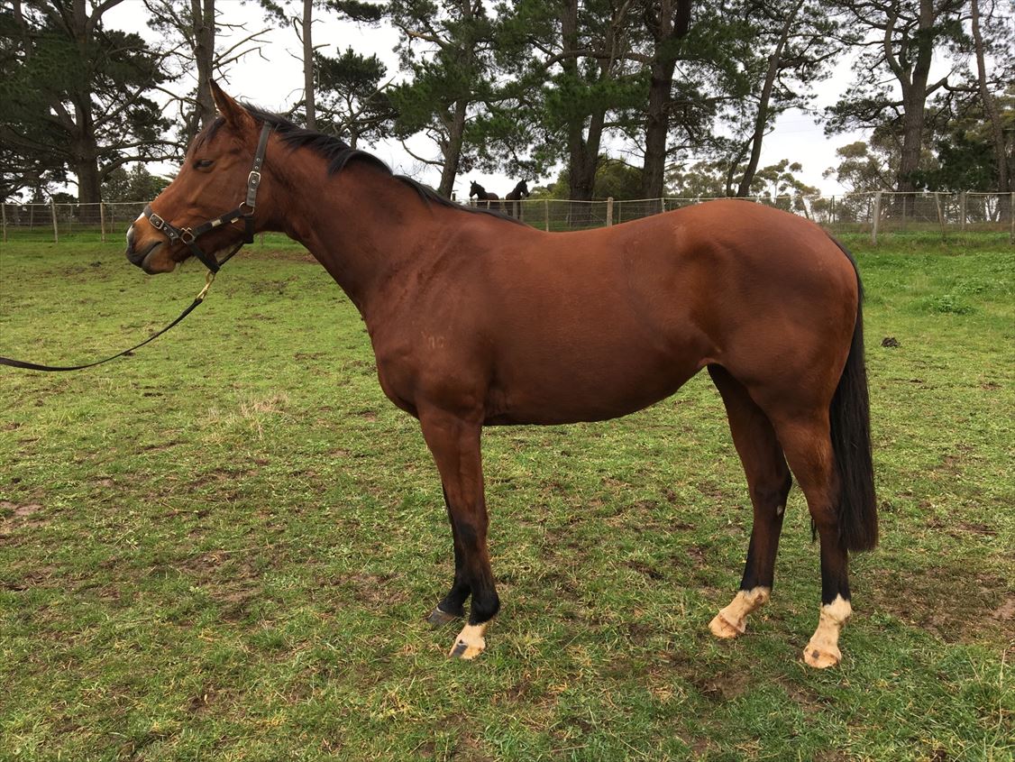 2018 July Monthly Online Sale | Inglis Digital Online Auctions