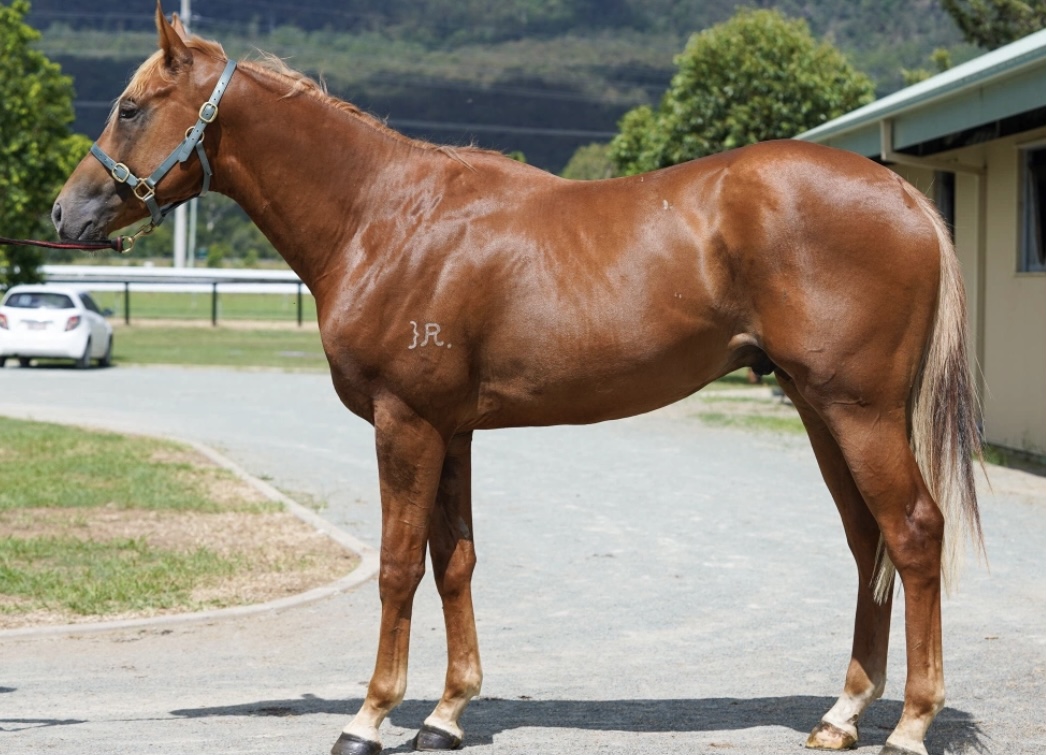 2021 MAY (Early) Online Sale | Inglis Digital Online Auctions