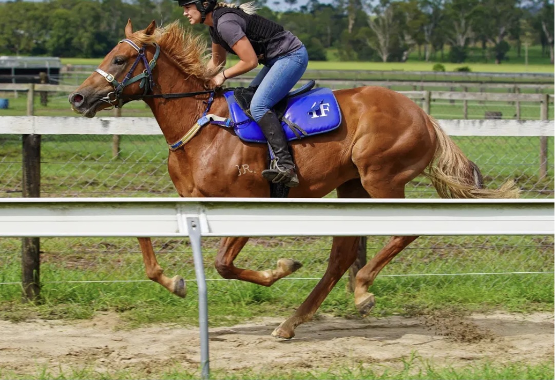 2021 MAY (Early) Online Sale | Inglis Digital Online Auctions