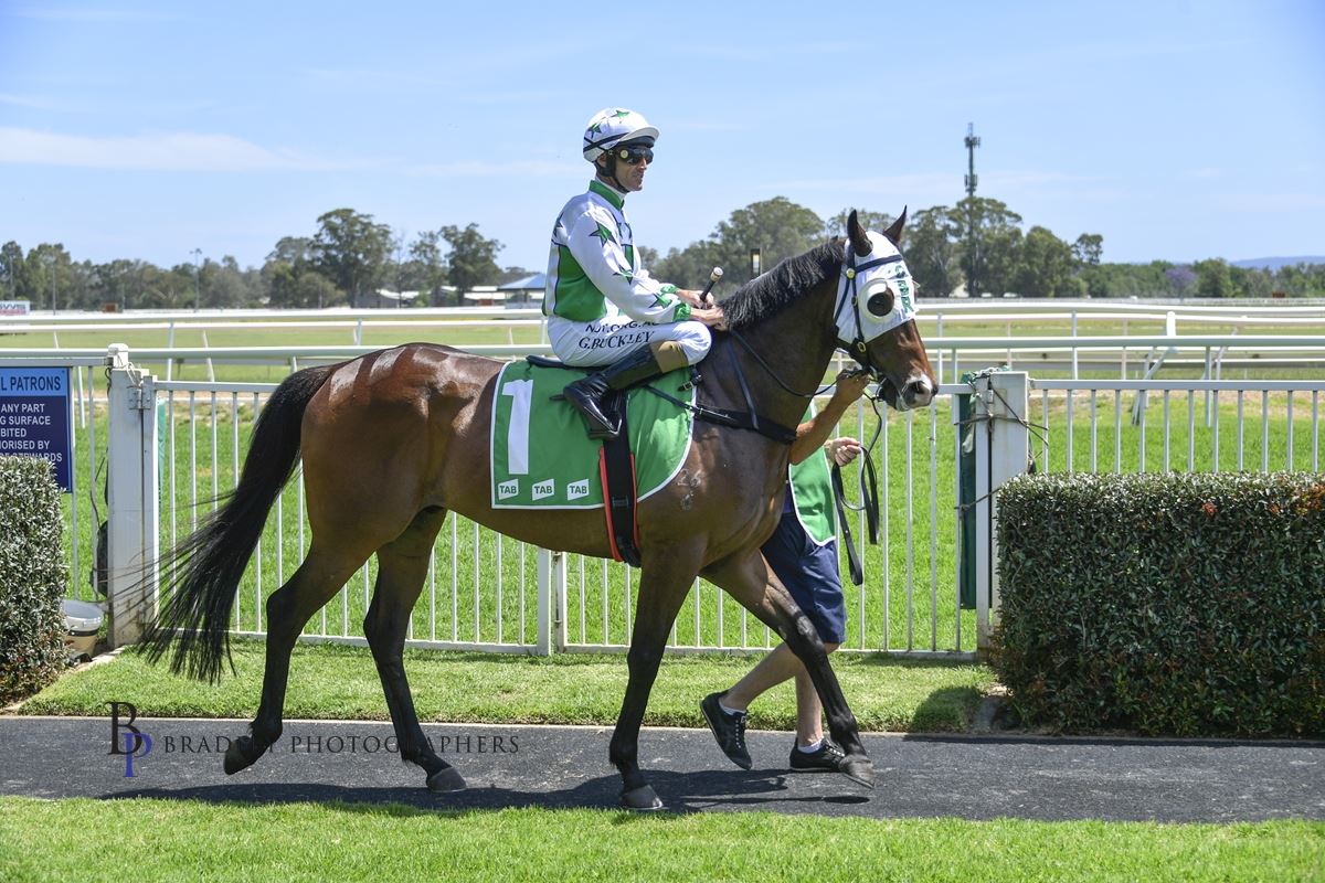 2021 MAY (Early) Online Sale | Inglis Digital Online Auctions