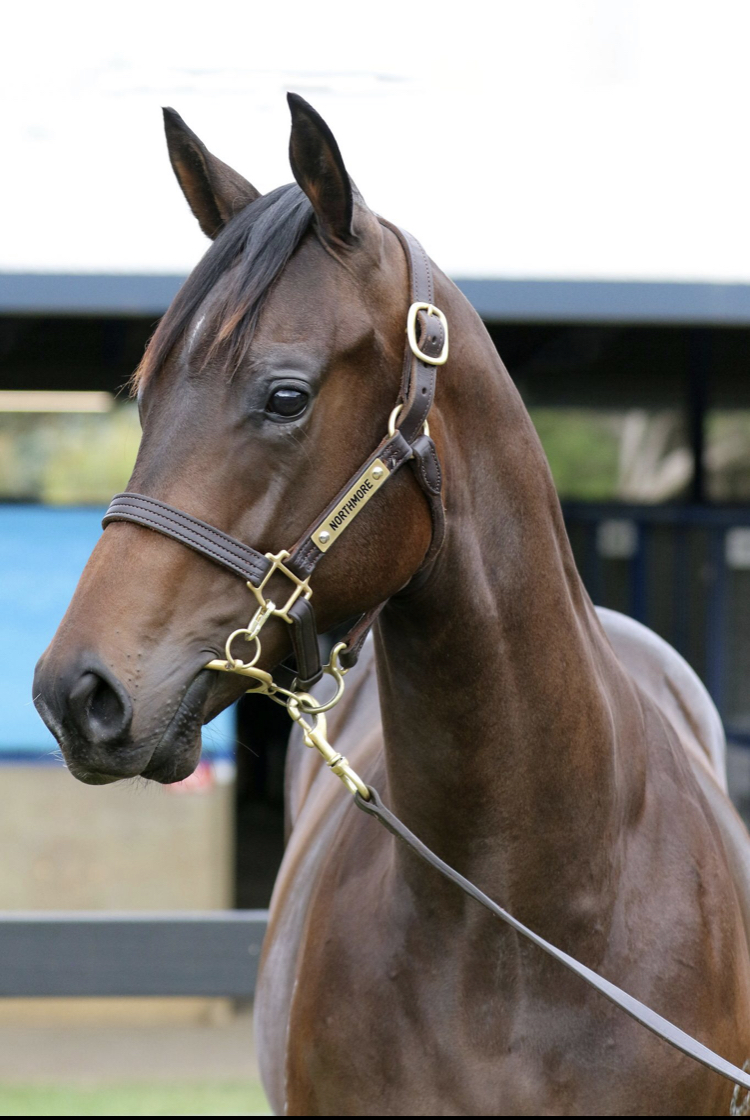 2021 JULY (Early) Online Sale | Inglis Digital Online Auctions