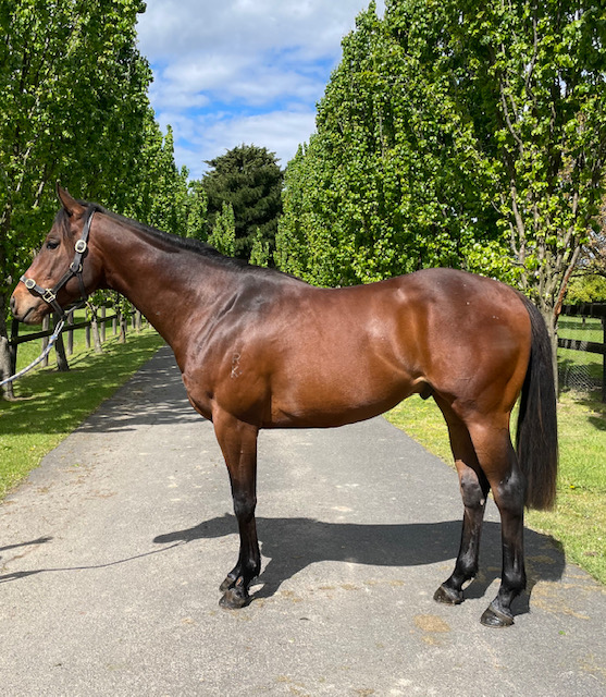 2021 OCTOBER (Late) Online Sale | Inglis Digital Online Auctions