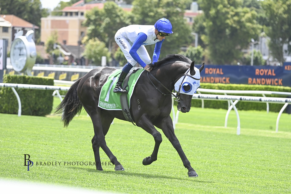 2023 JUNE (Early) Online Sale | Inglis Digital Online Auctions