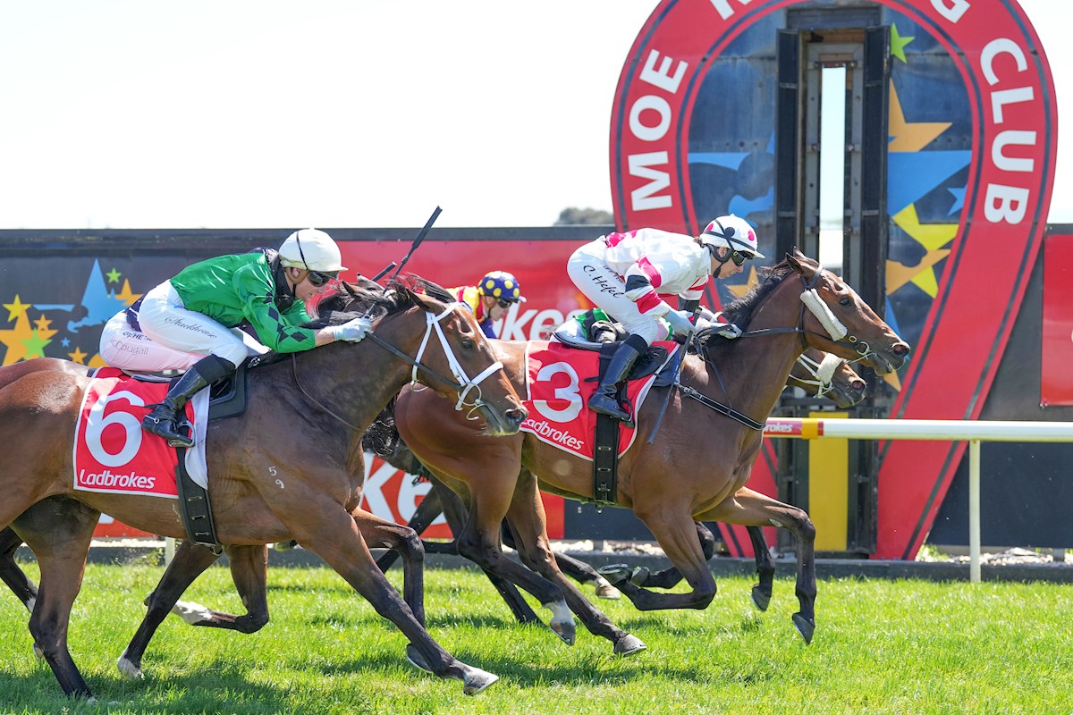 2024 AUGUST (Late) Online Sale | Inglis Digital Online Auctions