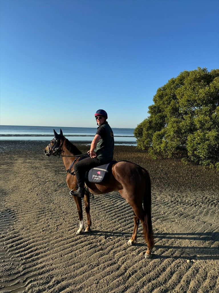 2024 OCTOBER (Late) Online Sale | Inglis Digital Online Auctions