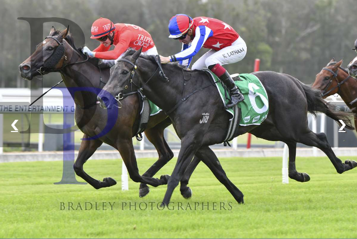 2024 NOVEMBER (Early) Online Sale | Inglis Digital Online Auctions