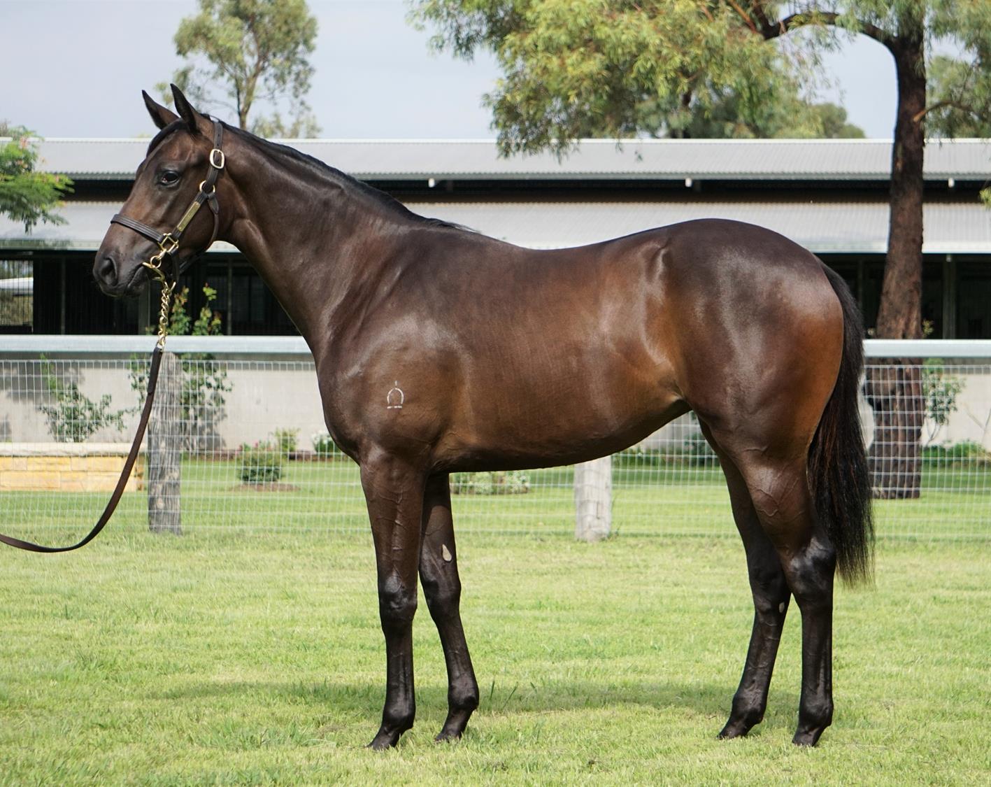 2025 FEBRUARY (Late) Online Sale | Inglis Digital Online Auctions