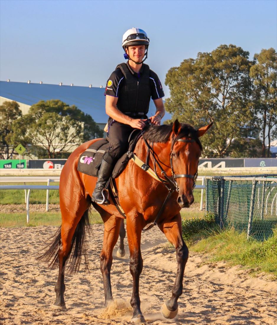 2025 JUNE (Late) Online Sale | Inglis Digital Online Auctions