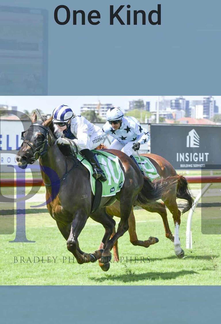 2025 JUNE (Late) Online Sale | Inglis Digital Online Auctions