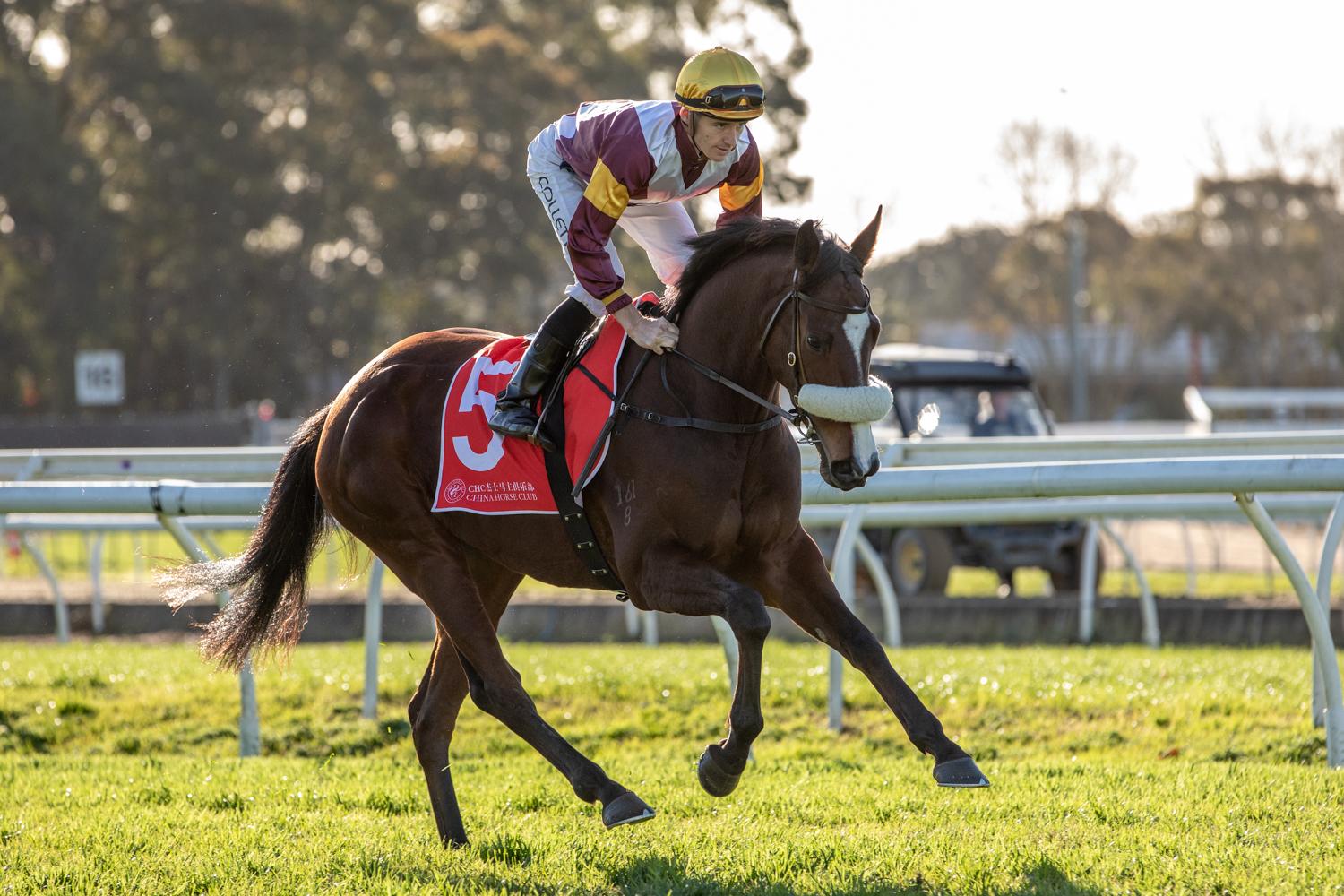 2025 JUNE (Late) Online Sale | Inglis Digital Online Auctions