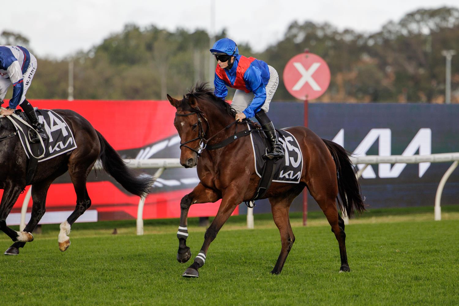 2025 JUNE (Late) Online Sale | Inglis Digital Online Auctions