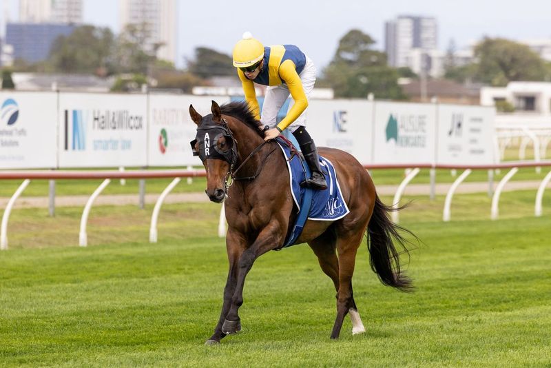 2025 JUNE (Late) Online Sale | Inglis Digital Online Auctions