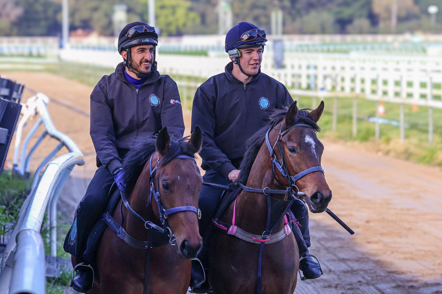 2025 JUNE (Late) Online Sale | Inglis Digital Online Auctions