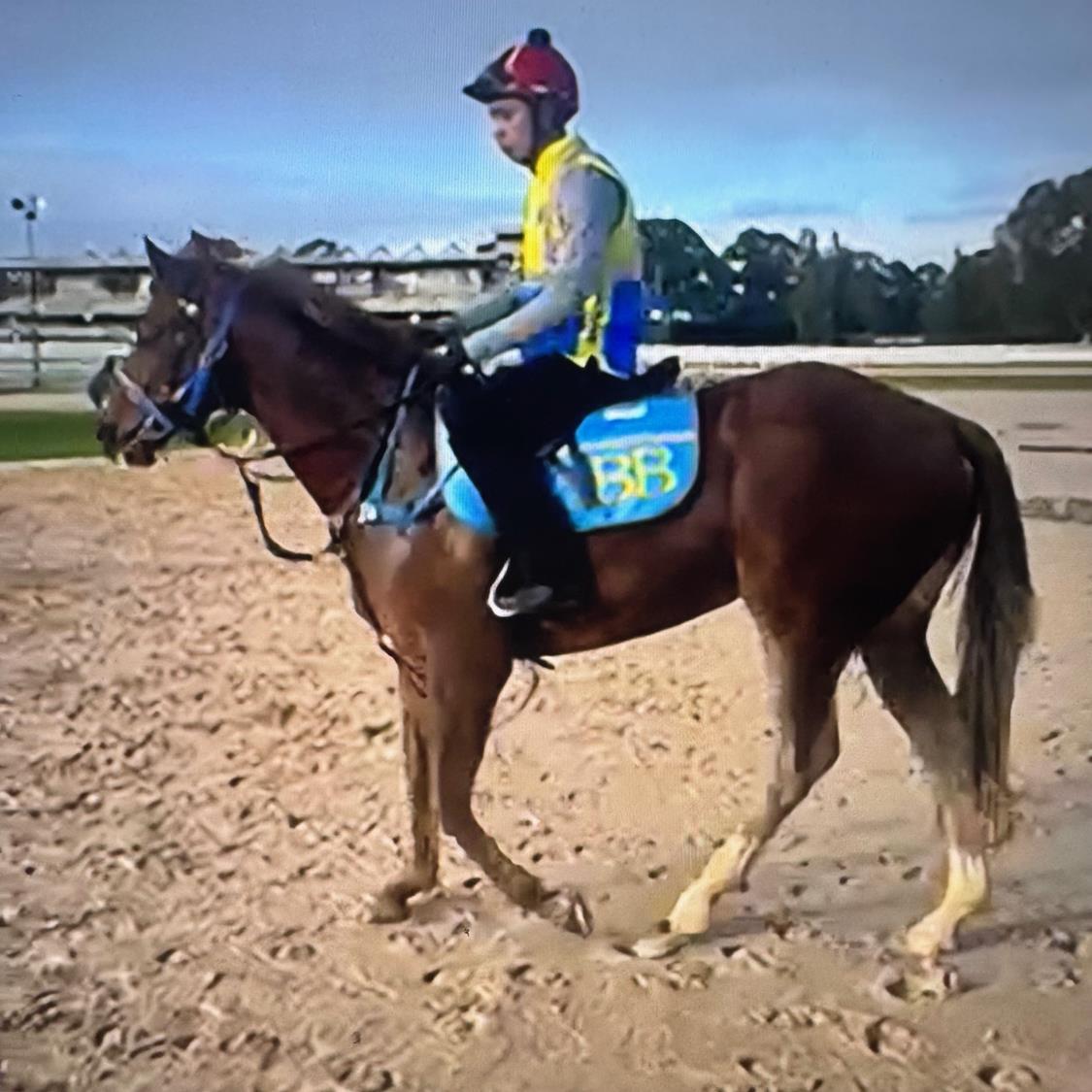 2025 JULY (Early) Online Sale | Inglis Digital Online Auctions