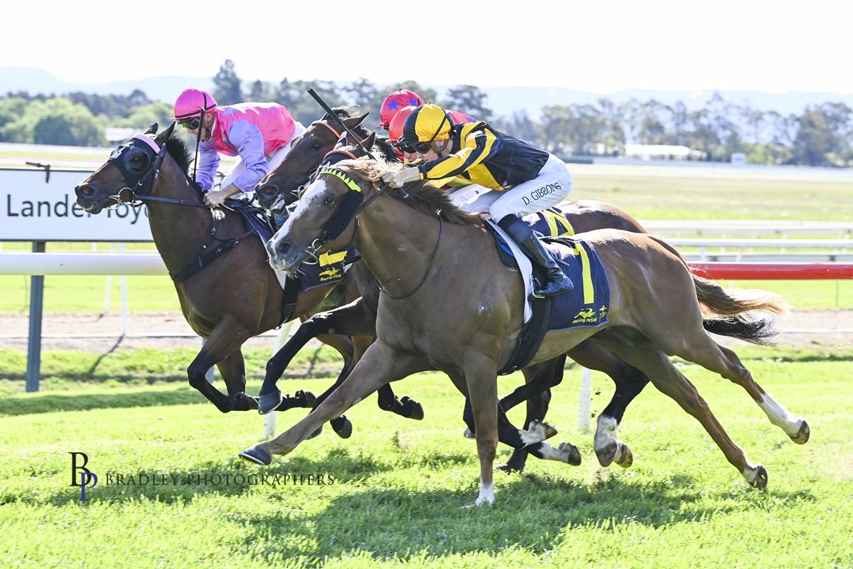 2025 JULY (Early) Online Sale | Inglis Digital Online Auctions