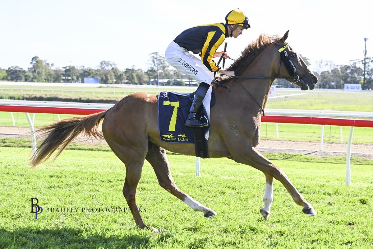 2025 JULY (Early) Online Sale | Inglis Digital Online Auctions